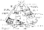 Apollo Spacecraft Dimensions
